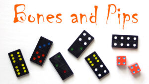 Bones and Pips Dice game - FamiyGameShelf.com